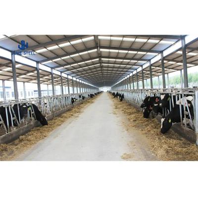 Cina 2-10m di altezza struttura in acciaio capanno di mucca magazzino prefabbricato edificio con tubo da 48 mm in vendita