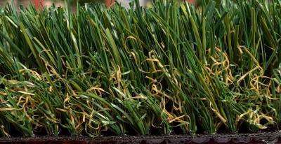 Cina Abbellimento del tappeto erboso sintetico 20-50mm dell'erba artificiale del giardino in vendita