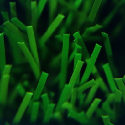 Cina Abbellimento del tappeto erboso sintetico 20-50mm dell'erba artificiale del giardino in vendita