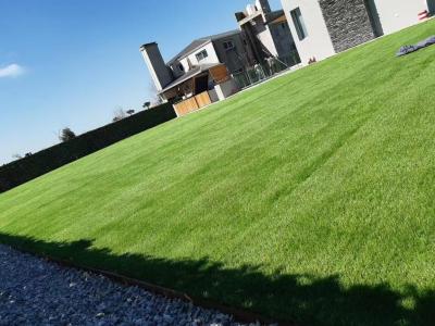 Cina Filato sintetico del monofilamento di Wave del doppio dell'erba del giardino artificiale in vendita