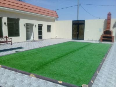 China het 60mm Gebogen Synthetische Gras van Draadartificiel voor Tuin Te koop