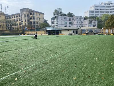 Cina Il calcio artificiale di multi scopo erba 45mm per il campo di calcio ISO9001 in vendita