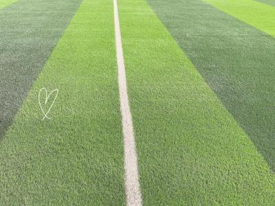 Cina tappeto erboso sintetico dell'erba artificiale di calcio di 45mm per il pavimento Diamond Yarn del campo di calcio in vendita