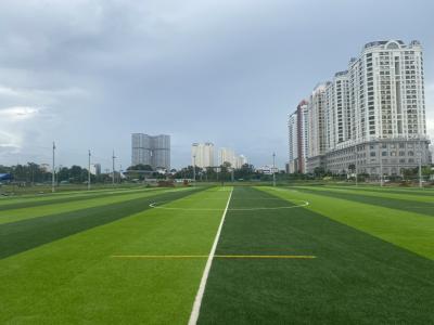 Cina Altezza artificiale dell'erba 45m del campo di football americano del diamante 100 in vendita