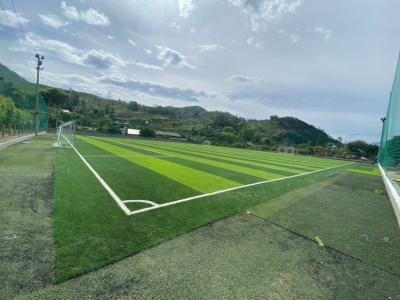 Cina larghezza artificiale del rotolo del tappeto erboso 2.0m di calcio standard professionale di altezza di 55mm in vendita