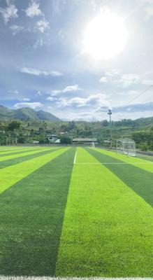 Cina Altezza artificiale durevole del campo di calcio 50mm dell'erba di calcio in vendita