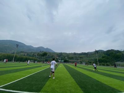 Cina Tappeto erboso artificiale di multi calcio funzionale per i siti di svago del parco del giardino in vendita