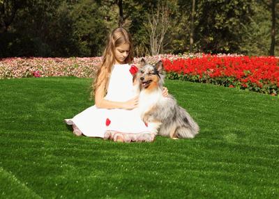 Cina Erba falsa di durata dell'animale domestico lungo di Mouldproof, erba di cane artificiale con resistenza UV in vendita