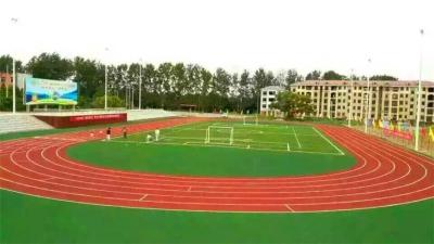 Cina Campo/prati inglesi falsi erba di Olive Green Playground Artificial Turf Anti-UV in vendita