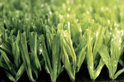 Cina Tappeto erboso artificiale di calcio di verde dell'alto grado di AVG, tappeto sintetico dell'erba di calcio in vendita