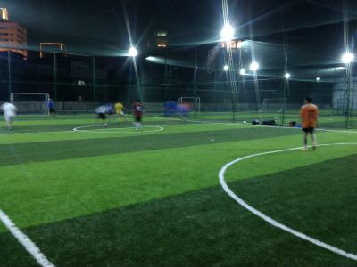 Cina Erba artificiale 13000 Dtex calcio/di calcio dell'interno rispettoso dell'ambiente in vendita