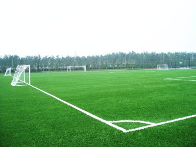 Cina Abbellimento della certificazione artificiale dello SGF ISO9001 dell'erba di falsificazione del tappeto erboso del campo di football americano in vendita