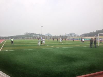 China Relvado artificial para campos de futebol, grama sintética do alto densidade do futebol à venda