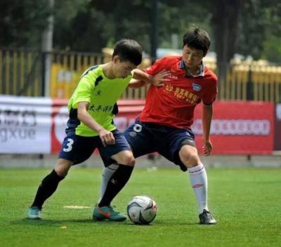 Cina Tappeto erboso artificiale 5/campione libero di calcio durevole professionale calibro a 8 pollici in vendita