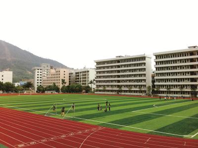 Cina Giardini/rispettoso dell'ambiente antinvecchiamento tappeto erboso di calcio di falsificazione delle stuoie artificiali dell'erba in vendita