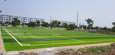 Cina Tappeto erboso artificiale del tappeto erboso artificiale di calcio del tappeto erboso del sintetico di AVG 50mm in vendita