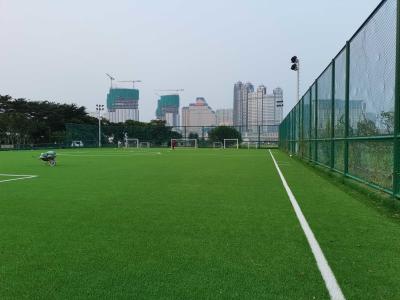 Китай Цена Futsal Gazon Synthetique травы дерновины футбола футбола AVG 60mm искусственная для оптовой продажи продается