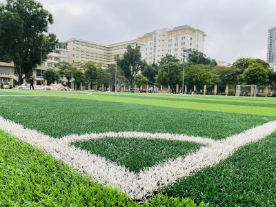 Cina Tappeto sintetico dell'erba che abbellisce il tappeto erboso artificiale del campo di football americano artificiale dell'erba del tappeto erboso in vendita
