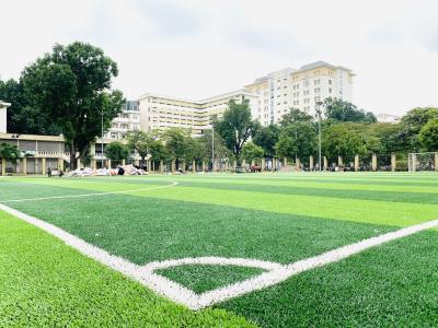 Cina tappeto erboso artificiale verde di calcio sintetico dell'erba del campo di football americano di baseball di 55mm in vendita