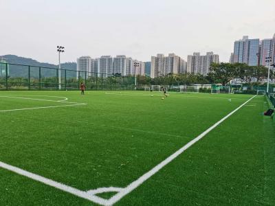 Cina Tappeto erboso artificiale di calcio dell'erba di Cesped di professione con il prezzo franco fabbrica 55mm in vendita