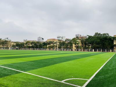 Cina tappeto erboso artificiale del tappeto erboso di professione di 45mm dell'erba di calcio artificiale sintetico di Cesped per la pavimentazione di sport in vendita