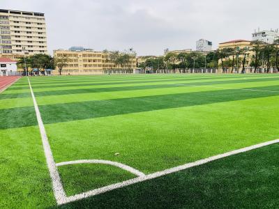 Cina Gli sport artificiali dell'erba che pavimentano per il calcio di calcio hanno frantumato 50mm in vendita
