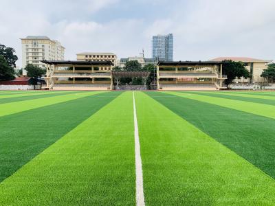 Cina sport artificiali dell'erba di 55mm che pavimentano per la terra di calcio di calcio in vendita