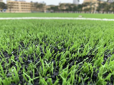 Cina Tappeto dell'erba del tappeto erboso di AVG 60mm per il campo di football americano di calcio della fabbrica all'aperto in vendita