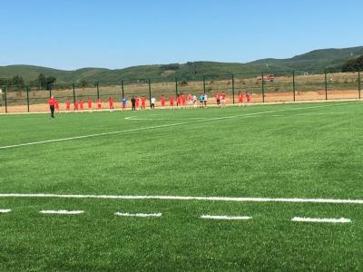 China Da grama nova do futebol da combinação do projeto do nível superior relvado artificial à venda