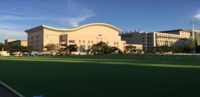 China Woven Backing Soccer Turf Grass Aritificial For Football Field for sale