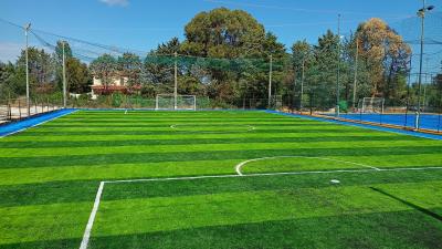 China 50mm het Gras Kunstmatig Synthetisch Gras van de Hoogte Kunstmatig Voetbal Te koop