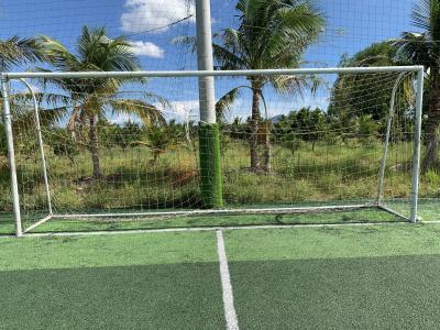 China Het groene Kunstmatige Synthetische Gras van het Tapijtbroodje voor Voetbalgebied Te koop