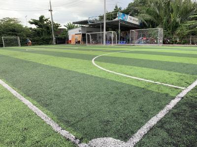 Cina Prato inglese sintetico dell'erba del tappeto erboso artificiale del giardino dello SGS per il campo di calcio in vendita