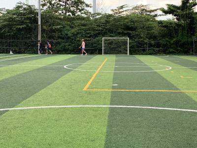 China Soccer Field Fake Turf Grass Unique Diamond Tender Green Colour for sale