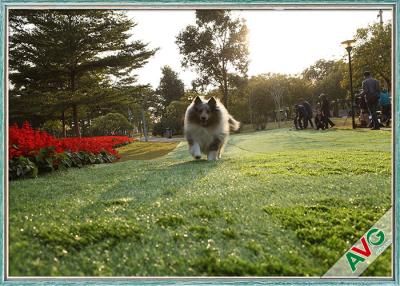 China Anti - Wear Landscaping Artificial Grass With Field Green / Apple Green Color for sale