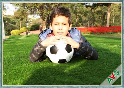 China UV Resistant PE Non - Infill Need Imitation Synthetic Lawn Grass For Dogs for sale