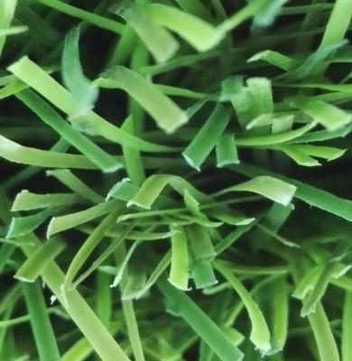 Cina Erba artificiale del forte giardino sintetico di colore 18000Dtex del trio per il campo di football americano di alto livello in vendita