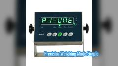 Precision Digital Weighing Indicator for Truck Scales