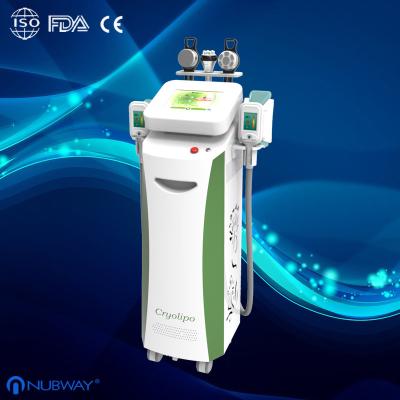 China 2014 New design cryo slimming machines fat freezing machine for sale