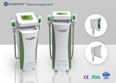 China Cryolipolysis Fat freezing machine for your body reshape for sale