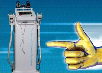 China 8L big water tank -15℃ Cryolipolysis machine with best cooling system for sale