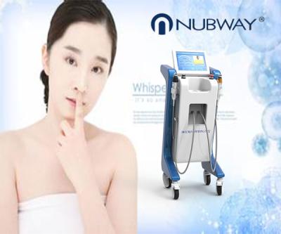 China double heads fractional rf microneedle machine rf microneedle for skin rejuvenation for sale