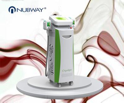 China record low price in year end promotion Cryolipolysis body slimming machine for sale