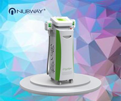 China hot sale body slimming machine double heads cryolipolysis body slimming for sale