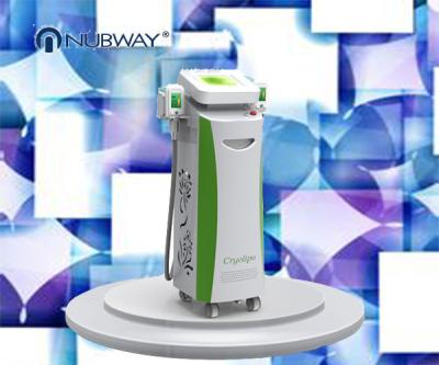 China professional fat removal cryolipolysis machine for sale