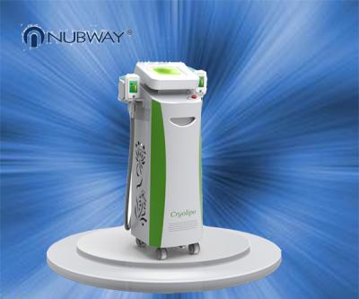 China biggest promotio super cool -15℃ fat removal body slimming Cryolipolysis body slimming machine for sale