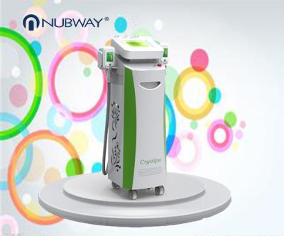 China whole year biggest promotion activity fat removal silmutaneous double handle super -15℃ Cryolipolysis body slimming for sale