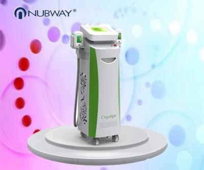 China record low price year end promotion super cool -15℃ simultaneous double head work Cryopolysis body slimming machine for sale