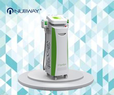 China simulotaneous working cryolipolysis body slimming machine 5 handles for sale
