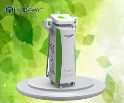 China hot sale 5 handles multifunctional cryolipolysis body slimming machine for sale